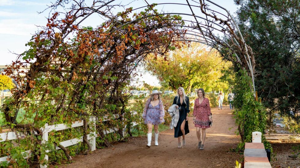 Visiting Gilbert Gilbert Az Office Of Economic Development